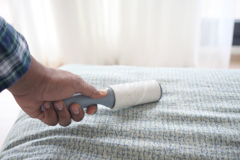 Using an Adhesive Roller To Remove Lint and Fluff from a Bed . Stock ...