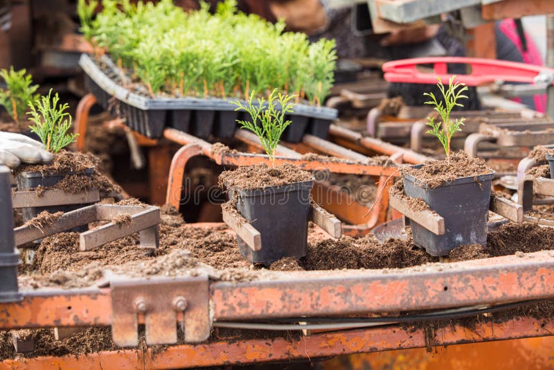 Using Agricultural Machinery Development To Automate Farming Stock ...