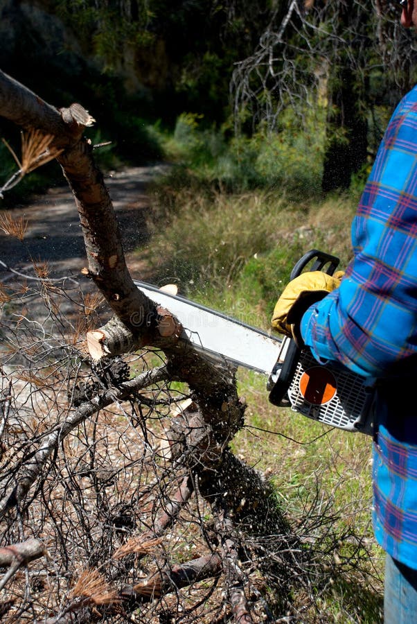A chainsaw operator stock photo. Image of person, tool - 186337284