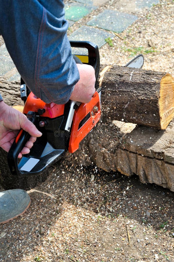 Using a chainsaw stock image. Image of portion, industry - 57075201