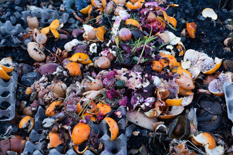 Using the Decay Process for the Rational Use of Natural Resources Stock ...