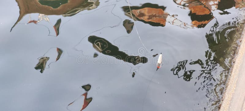 Using Float To Catch the Mackerel Fish Stock Image - Image of float ...