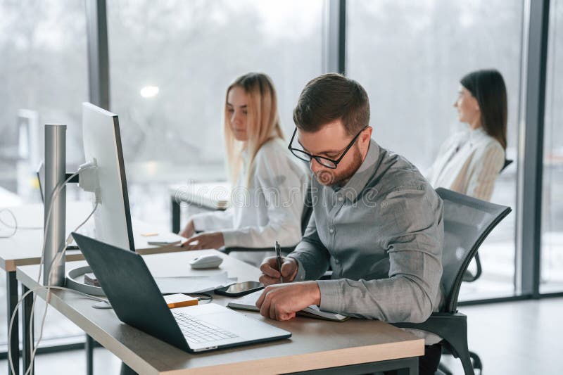 Using Laptops. Successful Team are Working Together in the Office Stock ...