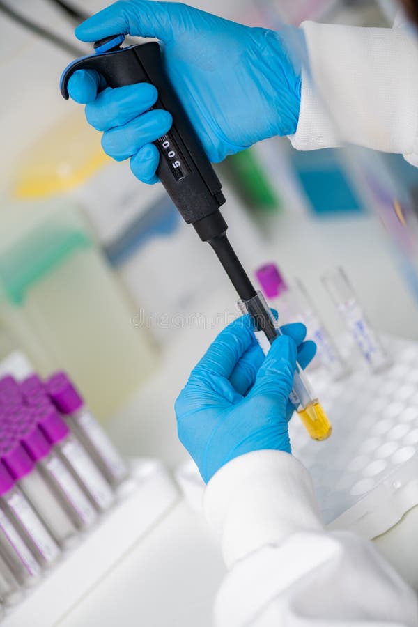 Using a Micropipette in a Biolab Stock Photo - Image of micropipette ...