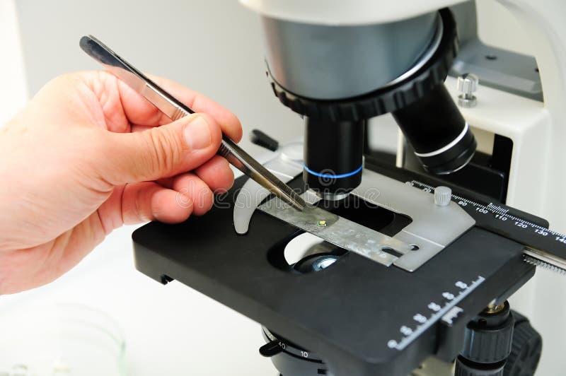 Microchip Under Microscope with Test Probes Stock Photo - Image of ...