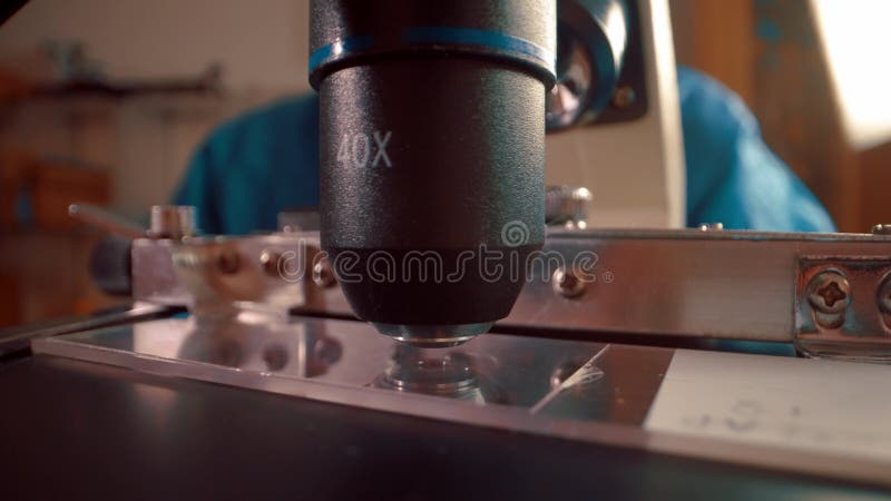 Using Microscope in Microbiology Laboratory. Stock Video - Video of ...