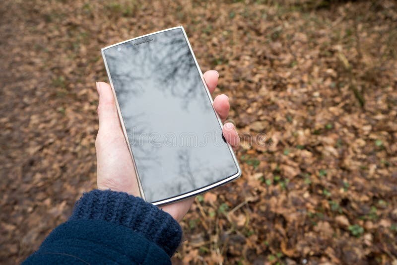 Using Phone Outdoors, in the Woods Stock Image - Image of woods ...