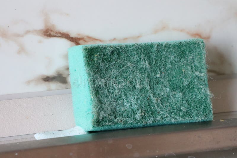 Using a Previously Used Kitchen Sponge on the Countertop Can Cause ...