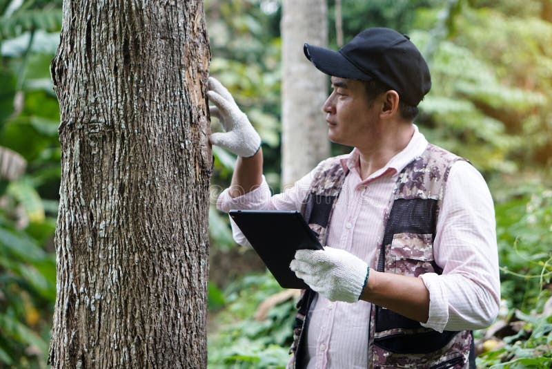 Using Smart Device Technology To Manage Environment and Research Trees ... Using Smart Device Technology To Manage Environment and Research Trees ...