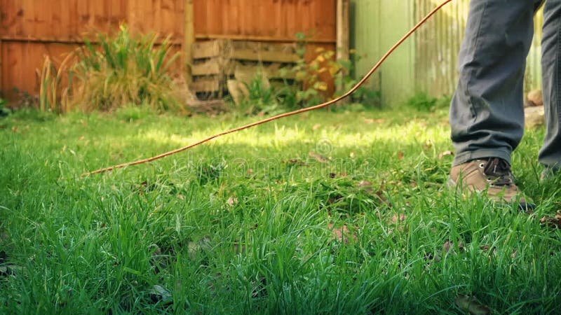 Using a Strimmer on Grass in Sunny Garden Stock Footage - Video of ...
