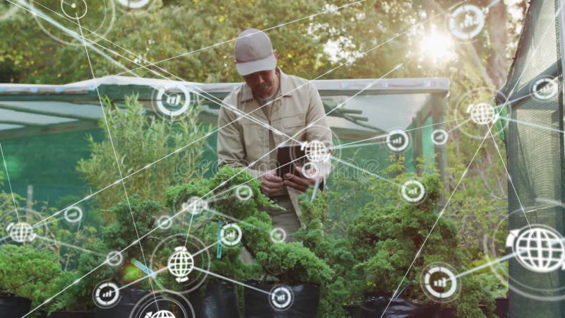 Using Tablet in Garden, Man Surrounded by Network Connections Animation ...