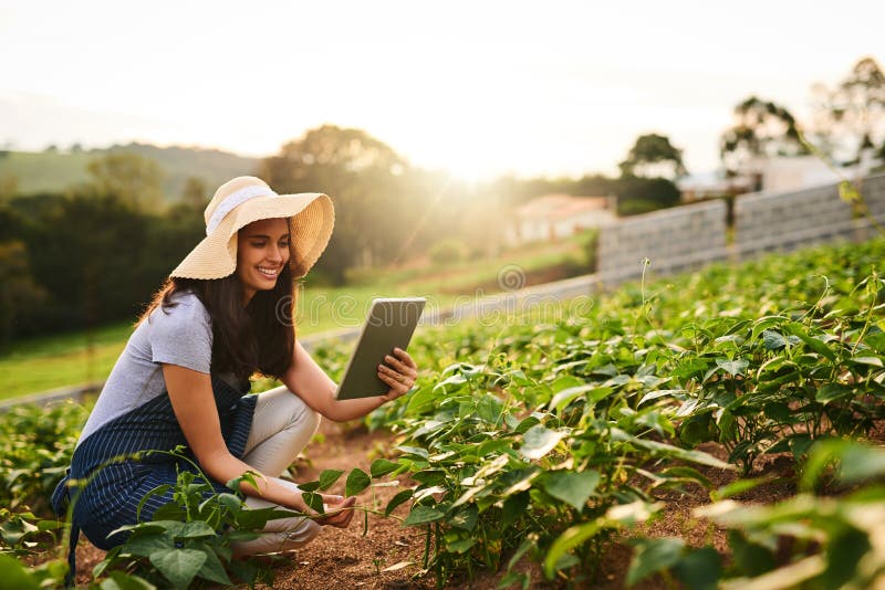 Using Technology To Manage Her Farm. an Attractive Young Woman Using a ...