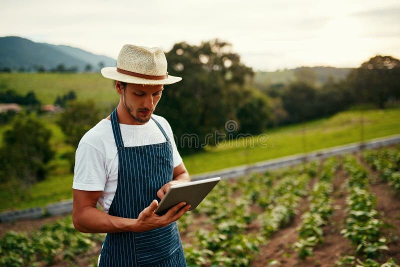 Using Technology To Stay Ahead. a Handsome Young Man Using a Tablet ...