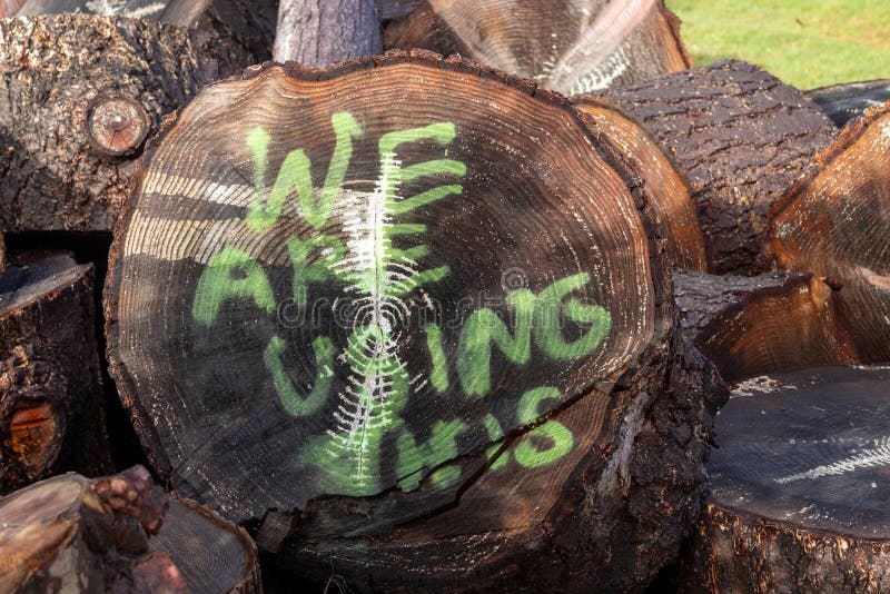 We are Using this on Tree Stump Stock Photo - Image of sign, pile ...