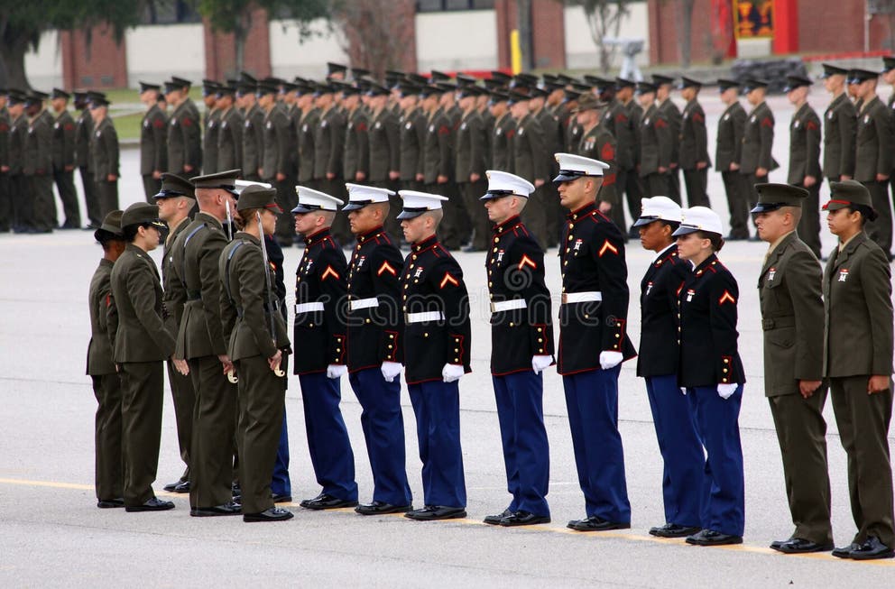 USMC Graduation Honor Recruit Awards Editorial Stock Photo - Image of ...