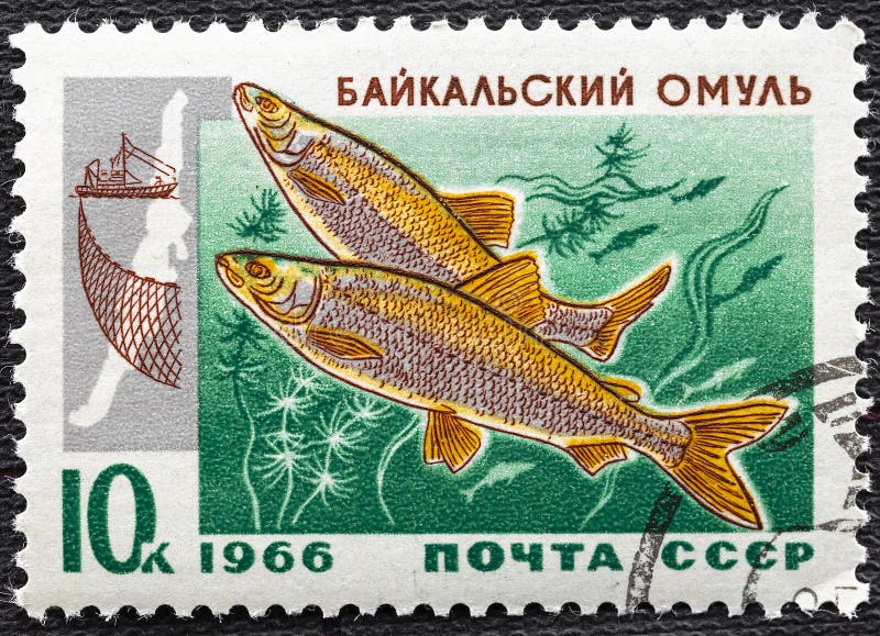 USSR - CIRCA 1966: Postage Stamp Issued in the Soviet Union with the ...