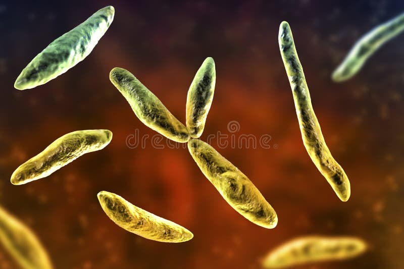 Pathogen Plant Pathology Stock Illustrations – 137 Pathogen Plant ...