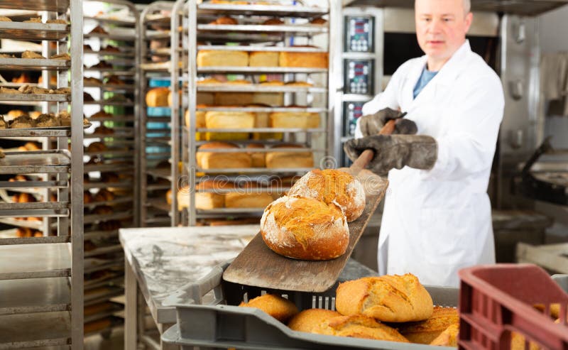 Usual Work of Baker in a Bakery Stock Photo - Image of sale, pastry ...