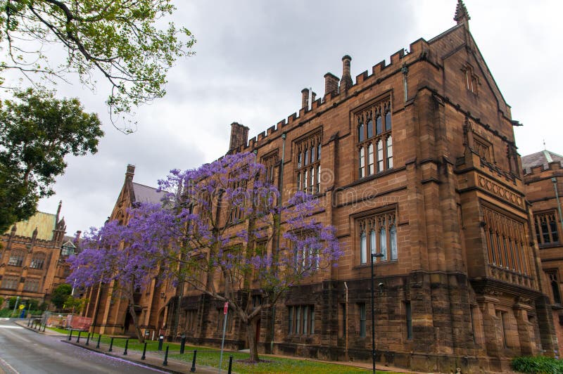 USYD-Campus stock afbeelding. Image of gras, architectuur - 105298993