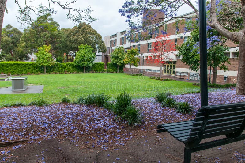 USYD Campus stock photo. Image of buliding, australia - 105298710