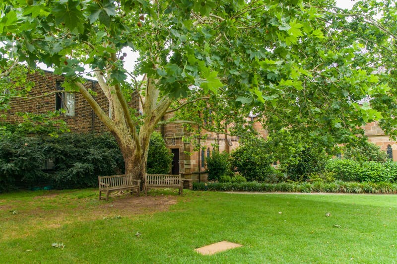 USYD Campus stock image. Image of lawn, backyard, home - 105299135