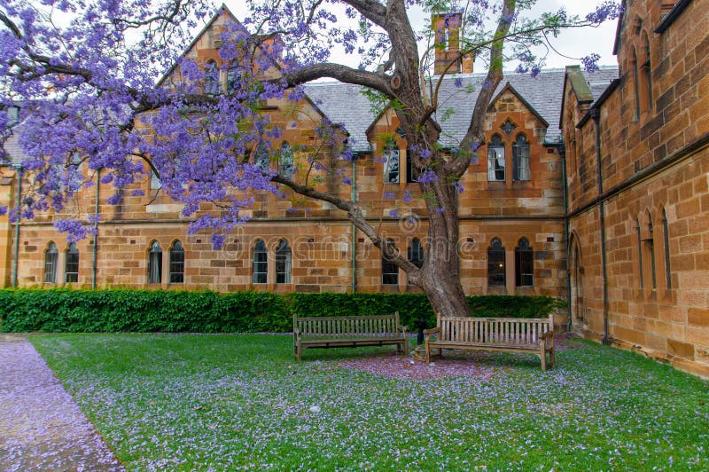 USYD Campus stock image. Image of facade, plant, mansion - 105299941