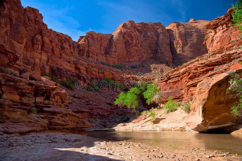 UT_-Paria Canyon Wilderness Stock Photo - Image of plateau, grasses ...