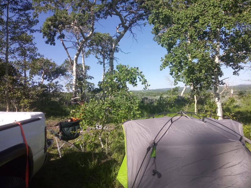 Utah stock image. Image of green, utah, clean, beautiful - 158146487