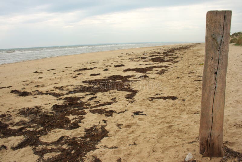 Utah Beach, Normandy stock photo. Image of ocean, normandy - 5285278