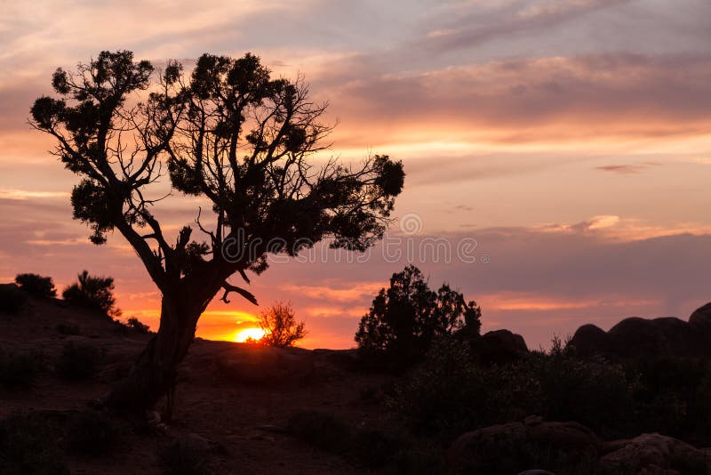 Utah Desert Sunset stock photo. Image of sunrise, wilderness - 87376766