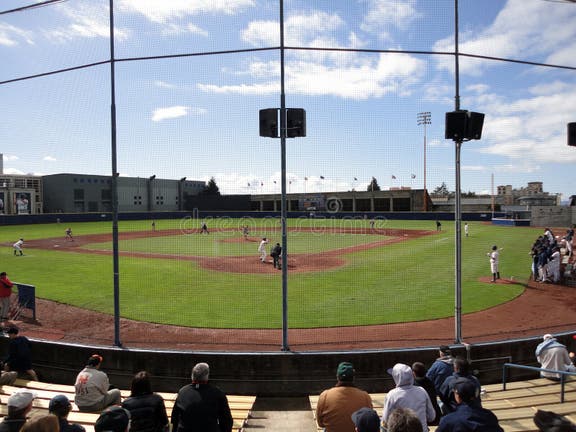 Utah Pitcher Throw Pitch To Cal Batter Editorial Image - Image of ball ...