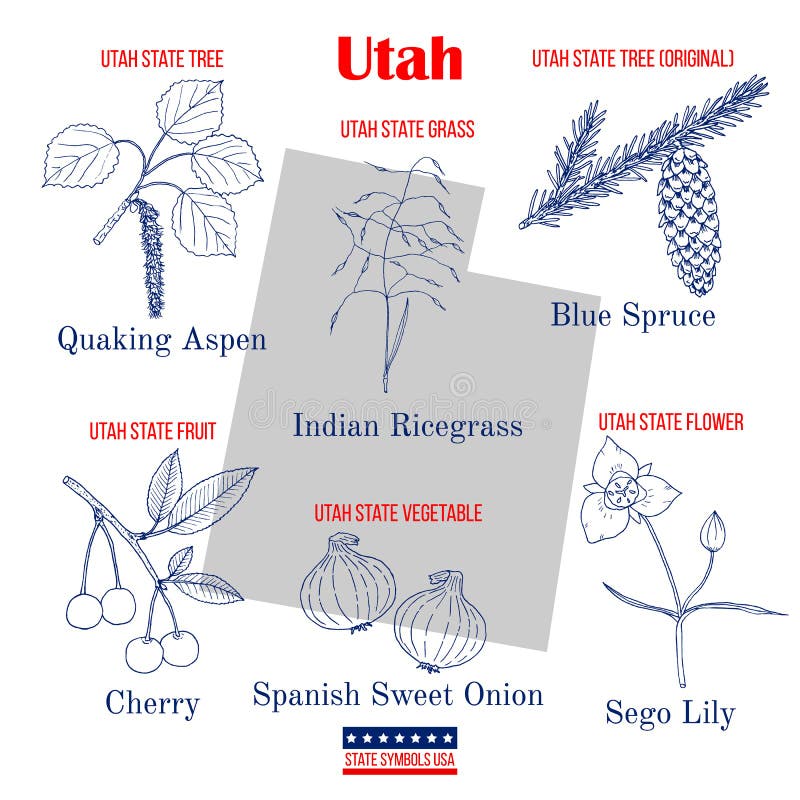 Utah. Set of USA Official State Symbols Stock Vector - Illustration of ...