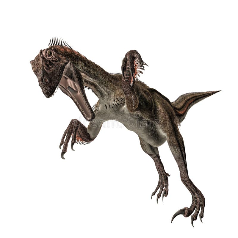 Utahraptor Ostrommayorum-3D Dinosaur Stock Illustration - Illustration ...