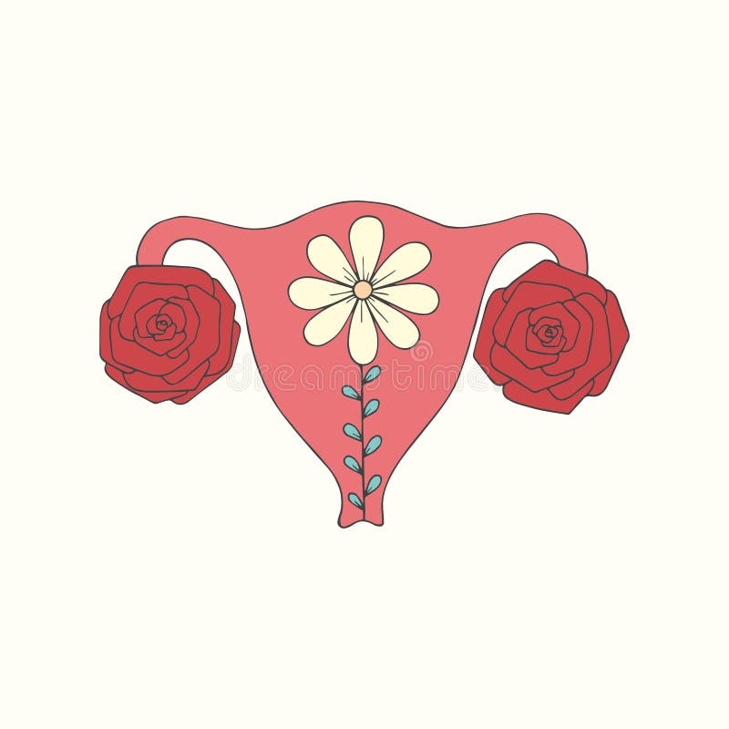 Decorative Drawing Of Female Reproductive System With Flowers. Hand ...