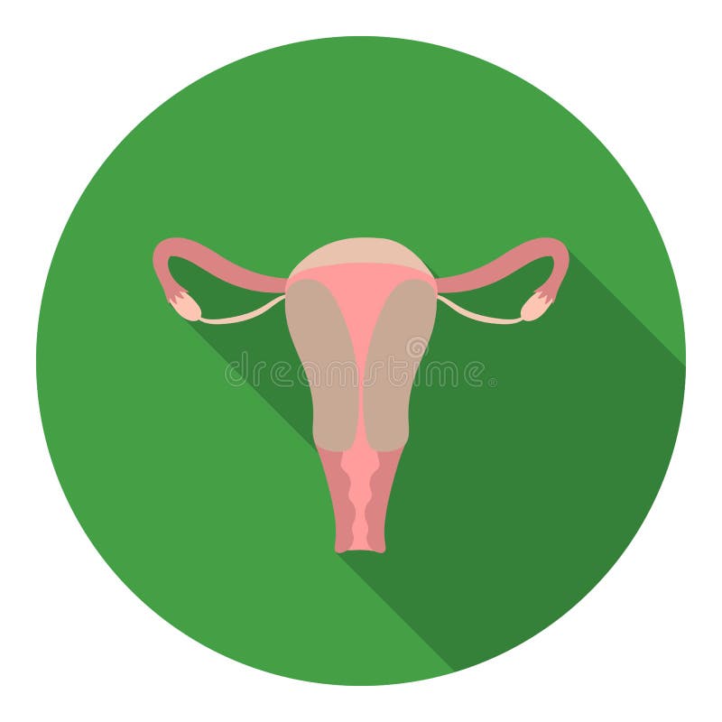 Uterus Icon in Outline Style Isolated on White Background. Pregnancy ...