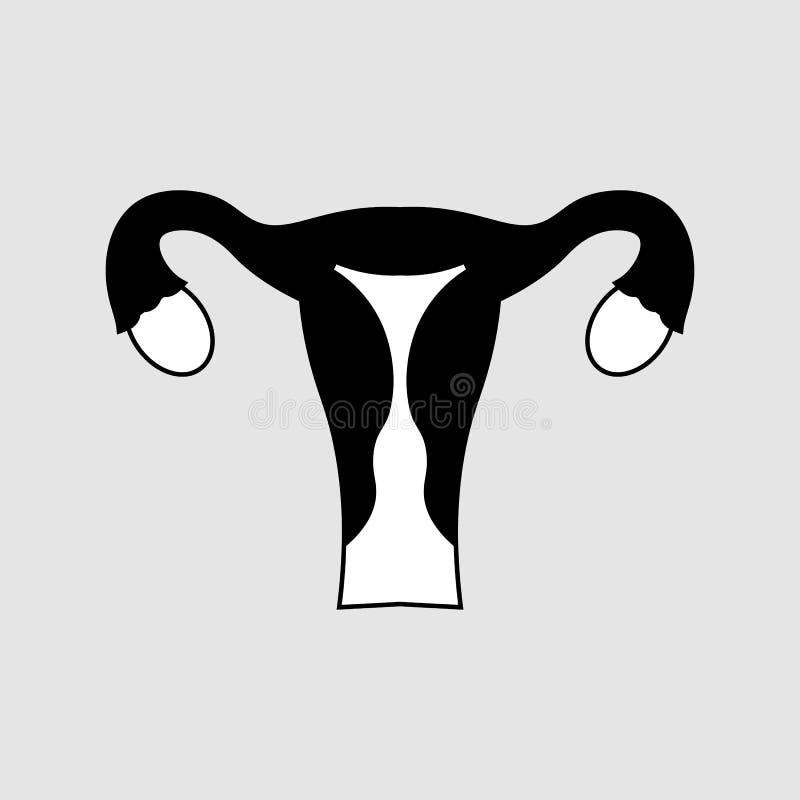 Uterus With Ovary Cervix Fallopian Tubes Isolated On Background