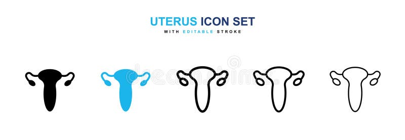 Uterus icon vector stock vector. Illustration of organ - 348443147