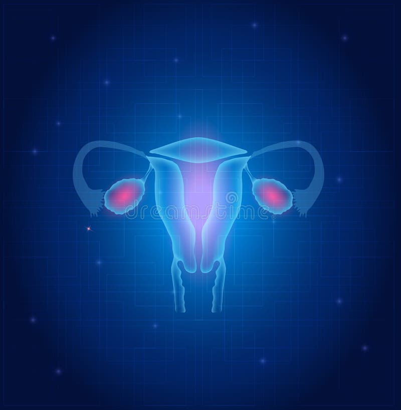 Ovaries Stock Illustrations – 2,459 Ovaries Stock Illustrations ...