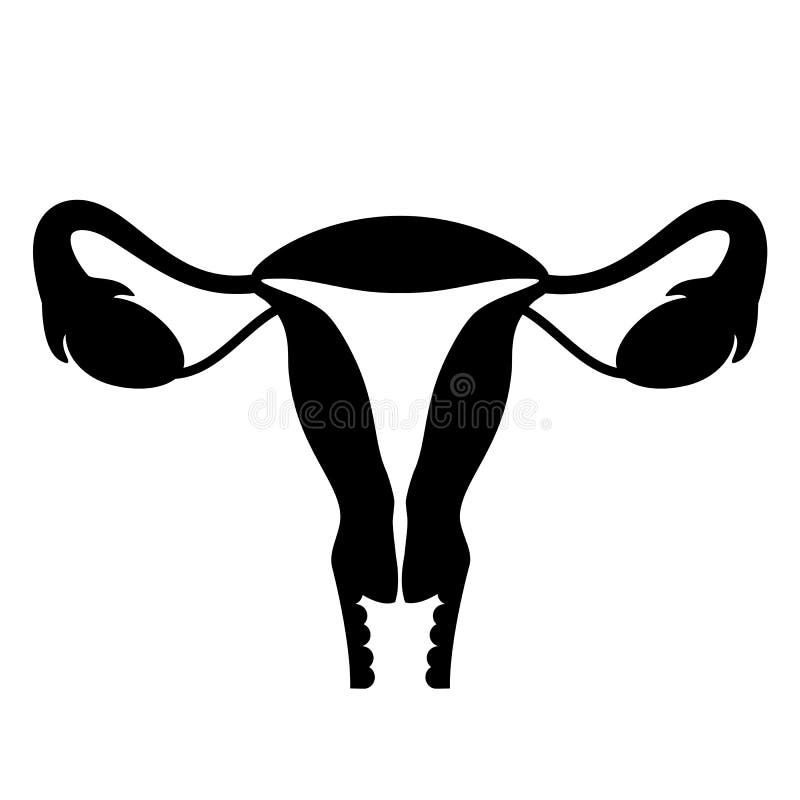Uterus Ovary Icon Stock Vector Illustration Of Icons 173581414