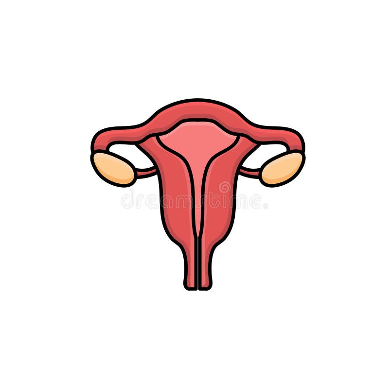 Uterus Vector Design Template Illustration Stock Vector - Illustration ...