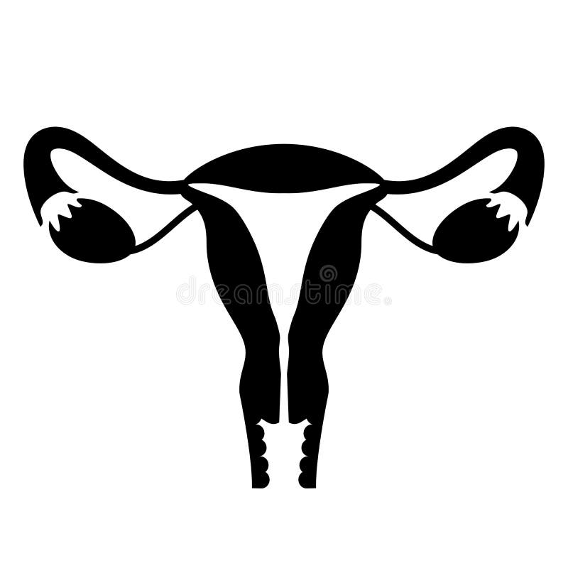 Uterus vector icon stock vector. Illustration of maternity - 173059607