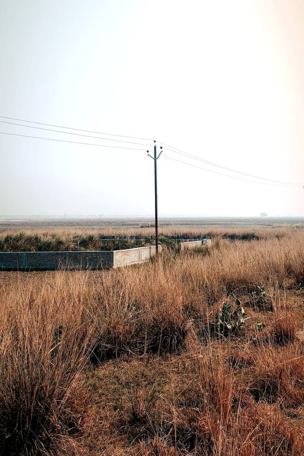 Utility pole stock image. Image of electricity, shah - 264741985