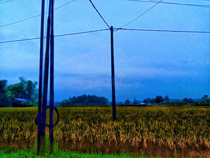 Utility Pole Pictures stock image. Image of wires, support - 372312499