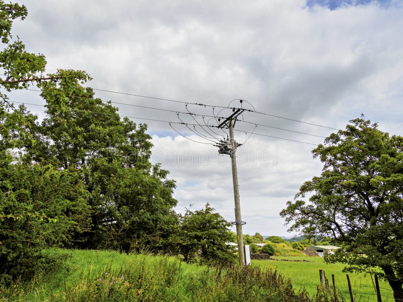 Utility Pole and Power Lines in a Lush Green Countryside with Trees ...