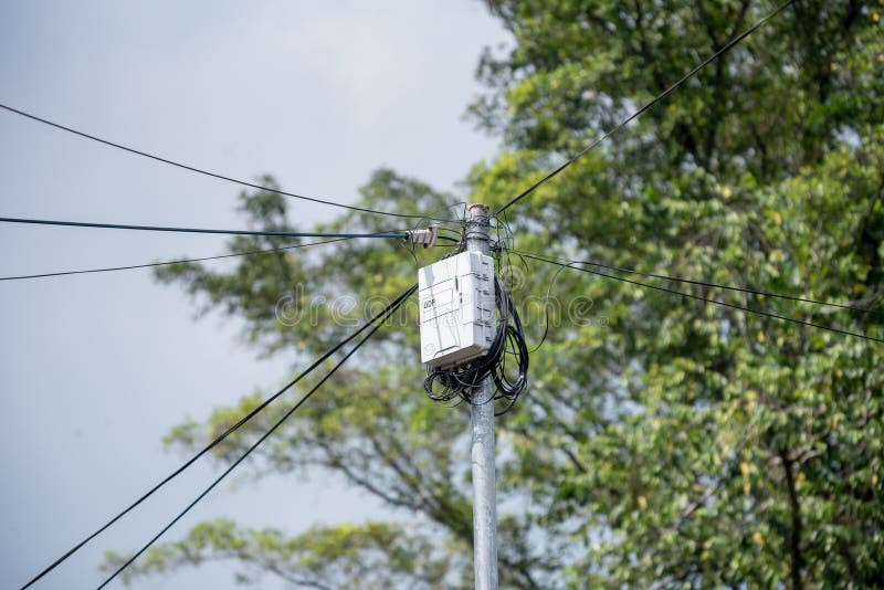 Internet cable stock image. Image of branch, electricity - 371104441