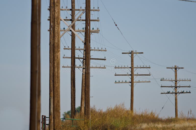 Utility Poles Standing in the Desert Stock Image - Image of power ...