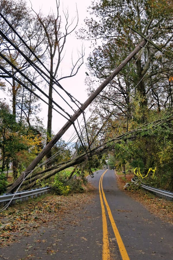 Utility Power Line and Pole Toppled by Fallen Tree Stock Photo - Image ...
