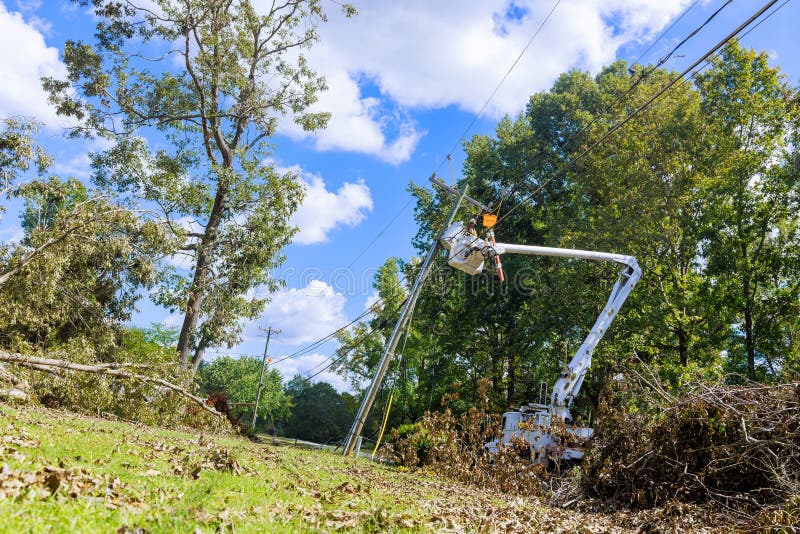 Utility Worker Clears Fallen Tree Branches from Power Lines during ...