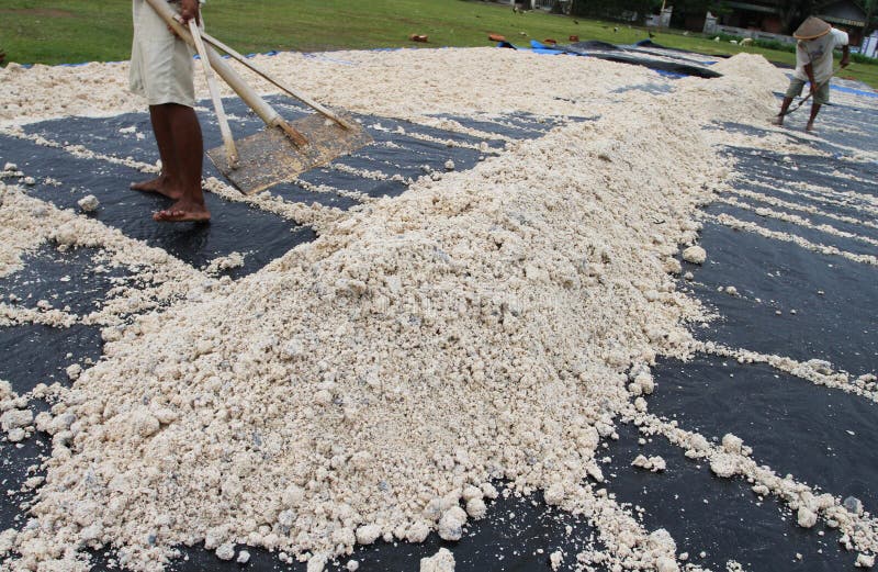 Utilization of Tapioca Wastes Editorial Stock Image - Image of gravel ...