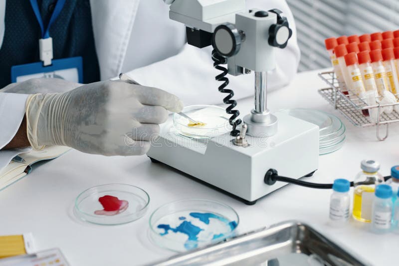 Utilizing Sophisticated Equipment in Laboratory Research Stock Image ...